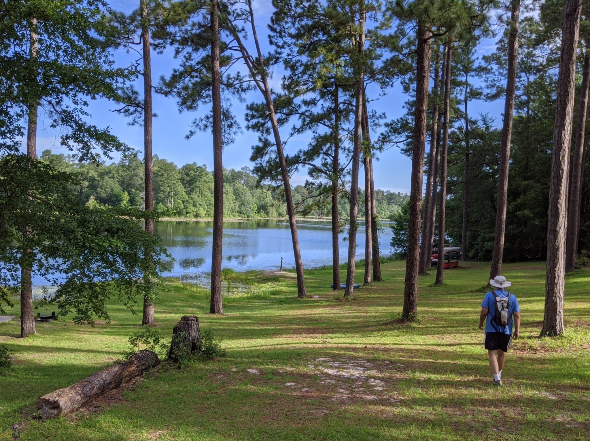2020 Georgia - part 11: Magnolia Springs State Park, a hike, and life ...